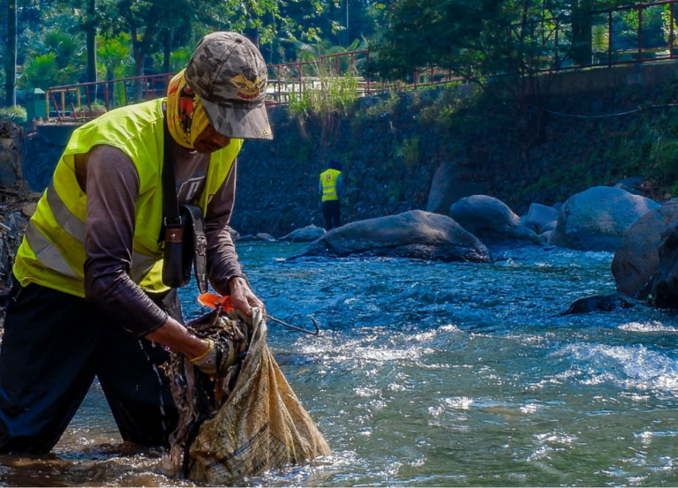 Brigades Nature - Brigades Nature
