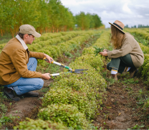 Le Groupe SOS - Brigades Nature